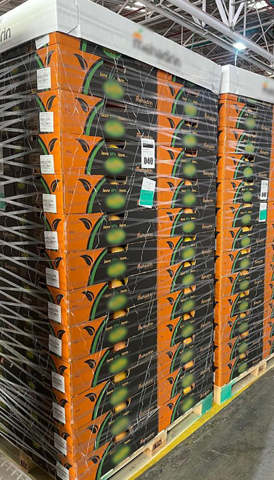 Innovent – Tama South Africa